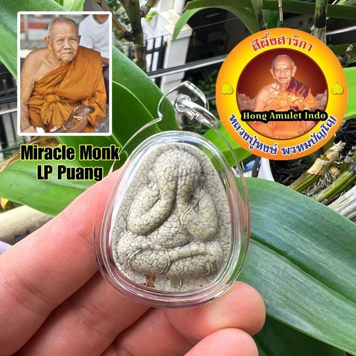 Jual Phra Pidta Rich Millionaire LP Puang - Miracle Pidta | Shopee ...