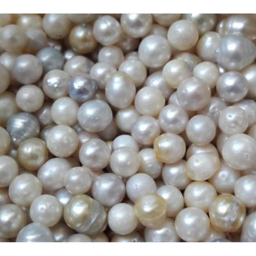 Jual Butiran Mutiara laut asli | Shopee Indonesia