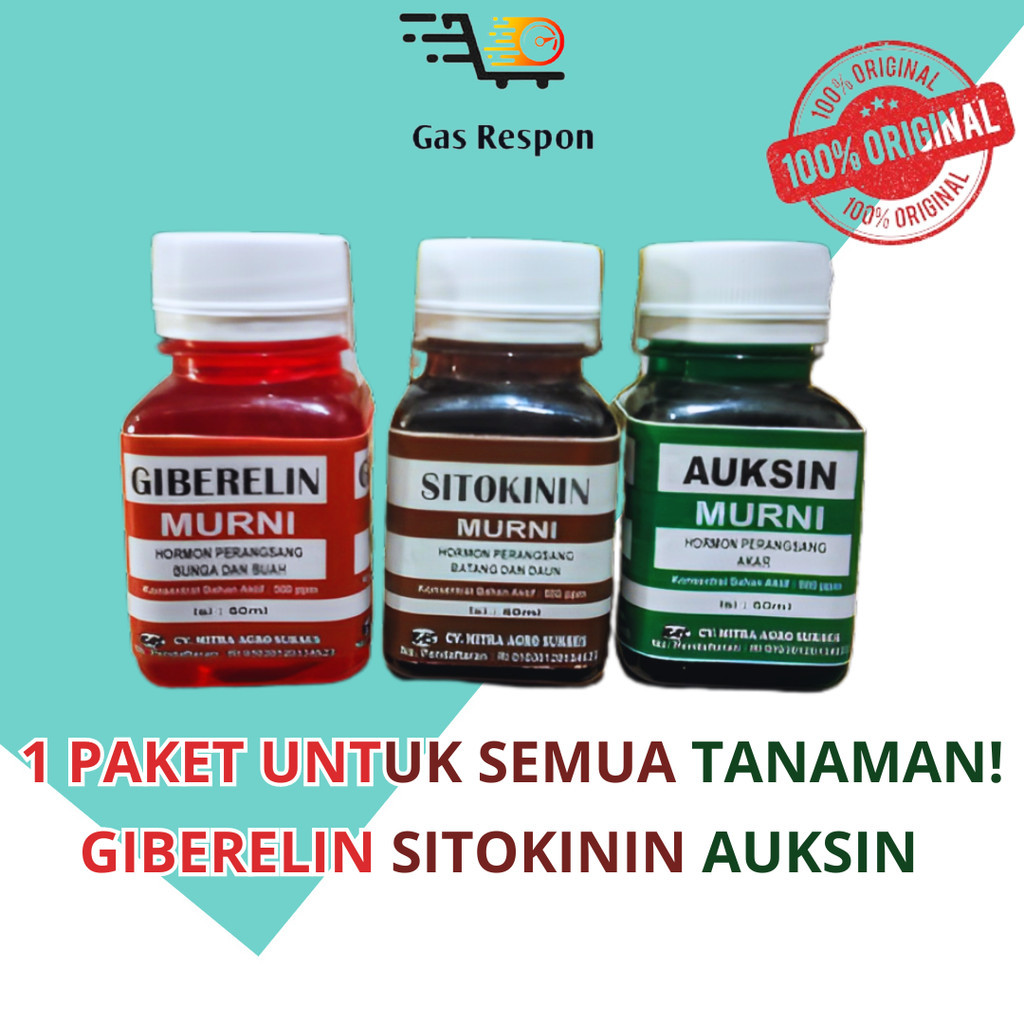 Jual 1 PAKET HEMAT 3 BOTOL ISI AUKSIN, GIBERELING, SITOKININ 60ML ZPT ... Jual 1 PAKET HEMAT 3 BOTOL ISI AUKSIN, GIBERELING, SITOKININ 60ML ZPT ...