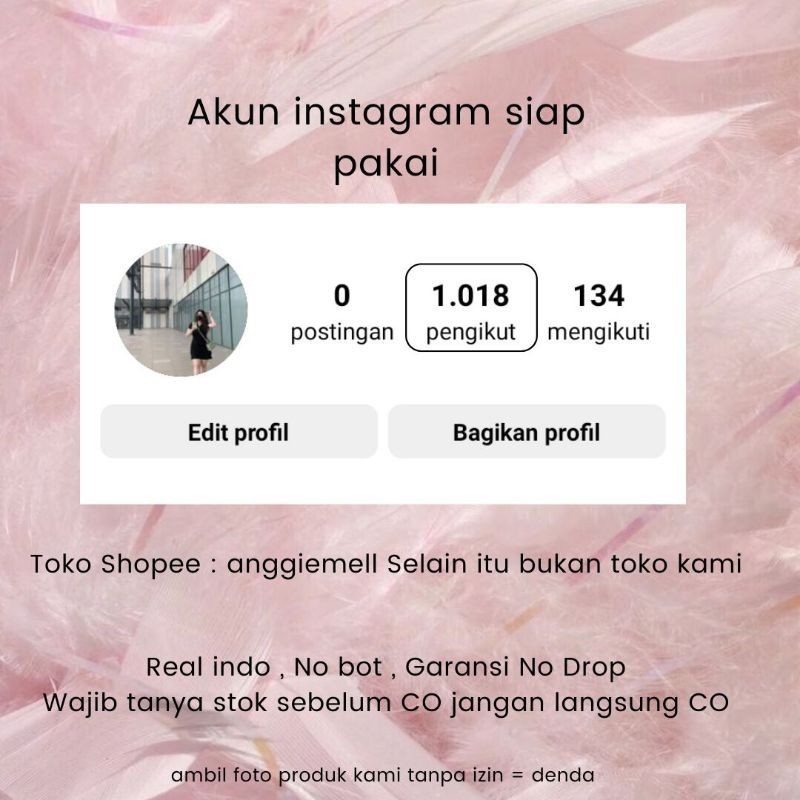 Jual JUAL AKUN INSTAGRAM IG INDO REAL AKTIF GARANSI NO DROP | Shopee Indonesia