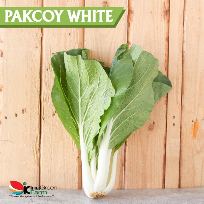 Jual Inagreen Farm Bandung Pakcoy White 250 Gram | Shopee Indonesia