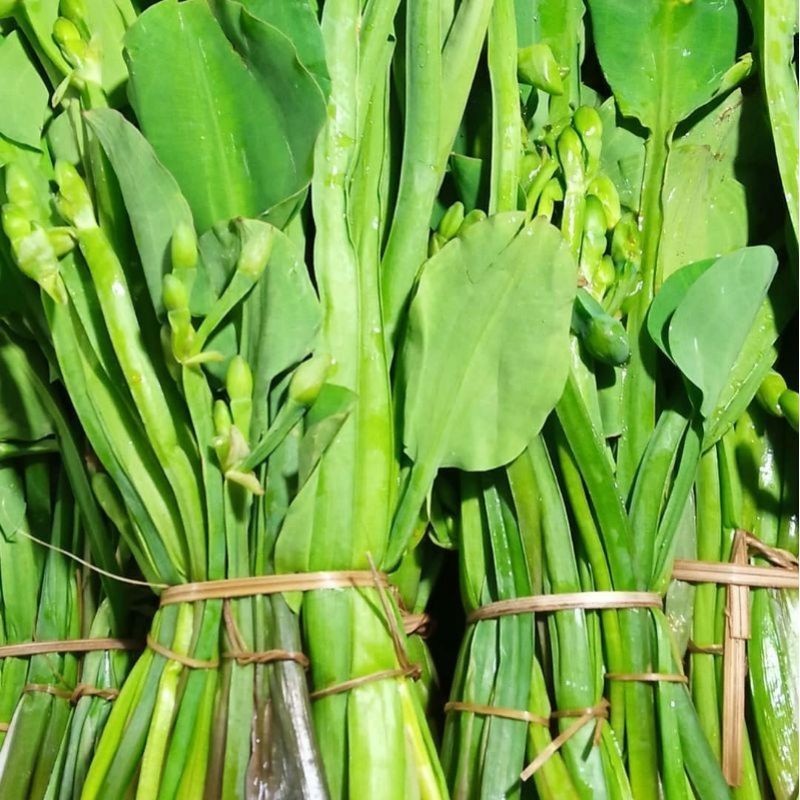 Jual Sayur genjer 1 ikat berat 300grm | Shopee Indonesia
