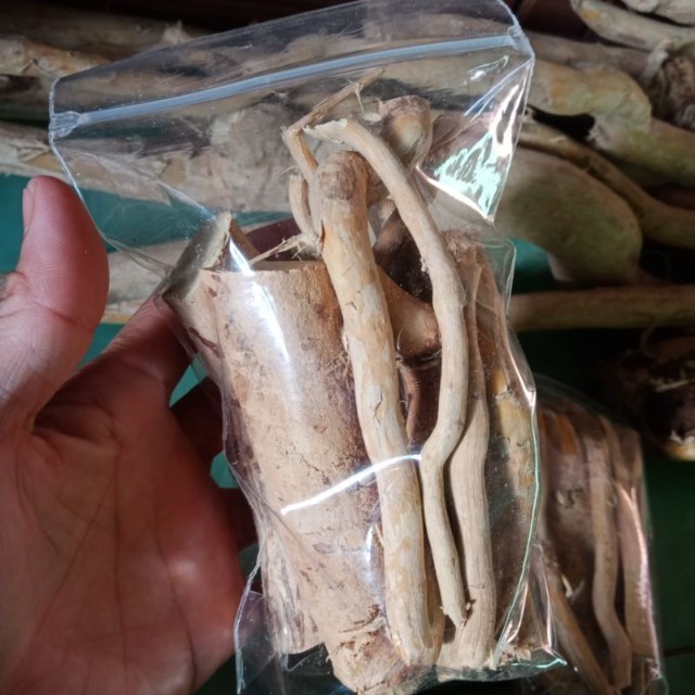 Jual Pasak Bumi Kalimantan Asli Tongkat Ali Potongan | Shopee Indonesia