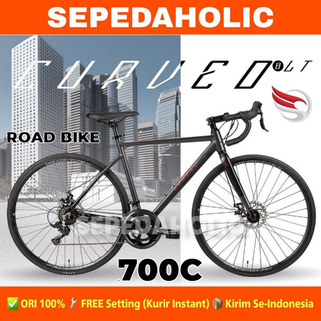 Jual Sepeda Roadbike ELEMENT CURVED LT 700C Balap Alloy 16 Speed ...