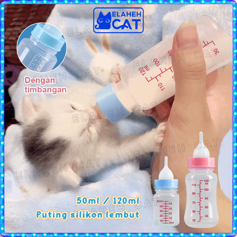 Jual Dot Kucing Bayi Baru Lahir Botol Susu Anak Kucing Dot Anjing ...