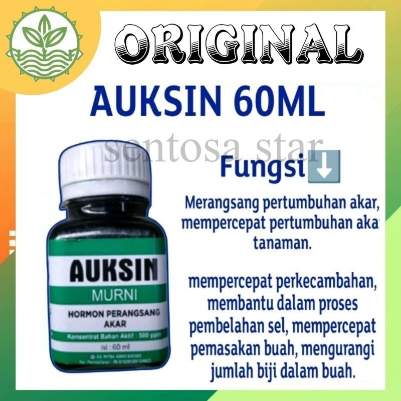 Jual AUKSIN PERANGSANG AKAR MURNI 60ML/ ZPT PERANGSANG AKAR/ HORMON ...