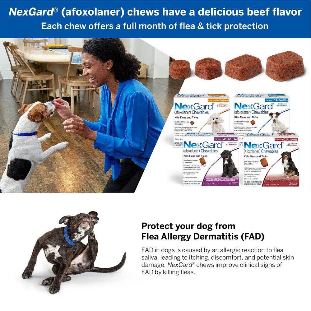 Jual NEXGARD Chewable Tablets For Dog Size M 4-10 KG Obat Kutu & Cacing Anjing Sedang, Per ...