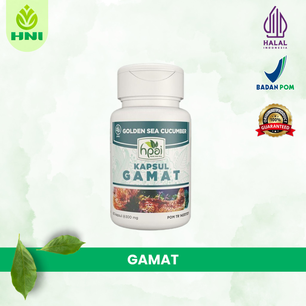 Jual GAMAT KAPSUL Ekstrak Teripang Emas Untuk Nyeri Sendi - HNI BPOM ...
