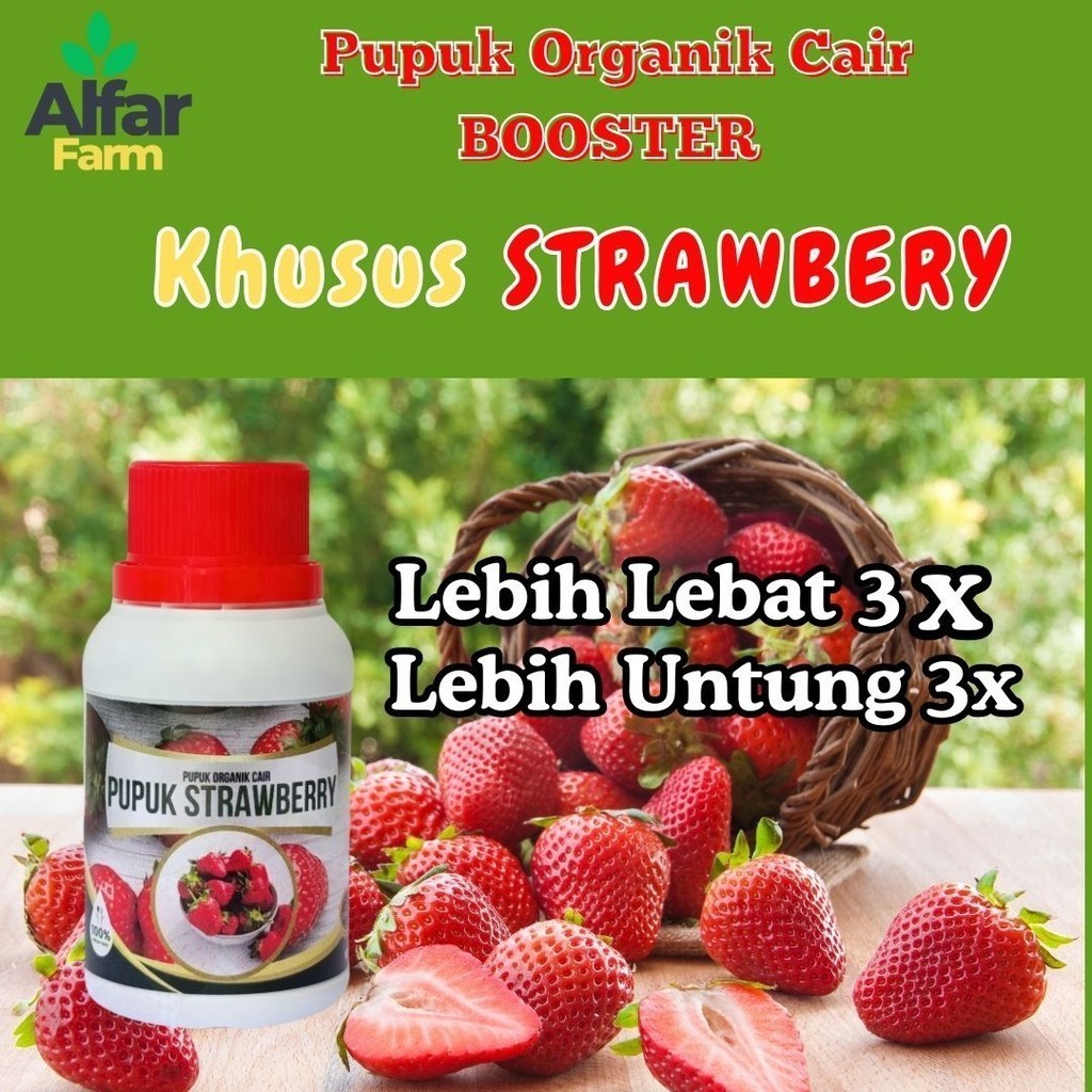 Jual Pupuk organik strawberry pelebat buah strawberry booster buah strawberry pupuk organik ...