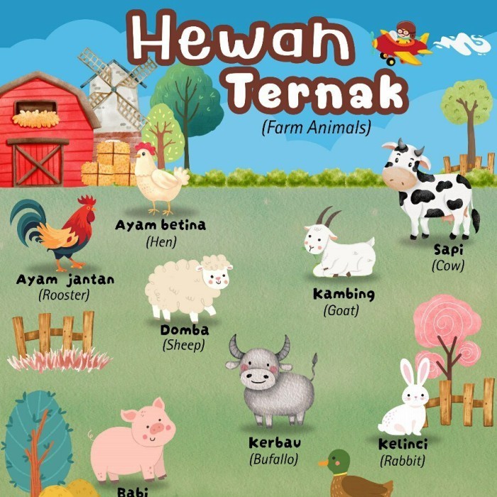 Jual Poster Edukasi Hewan Ternak | Shopee Indonesia