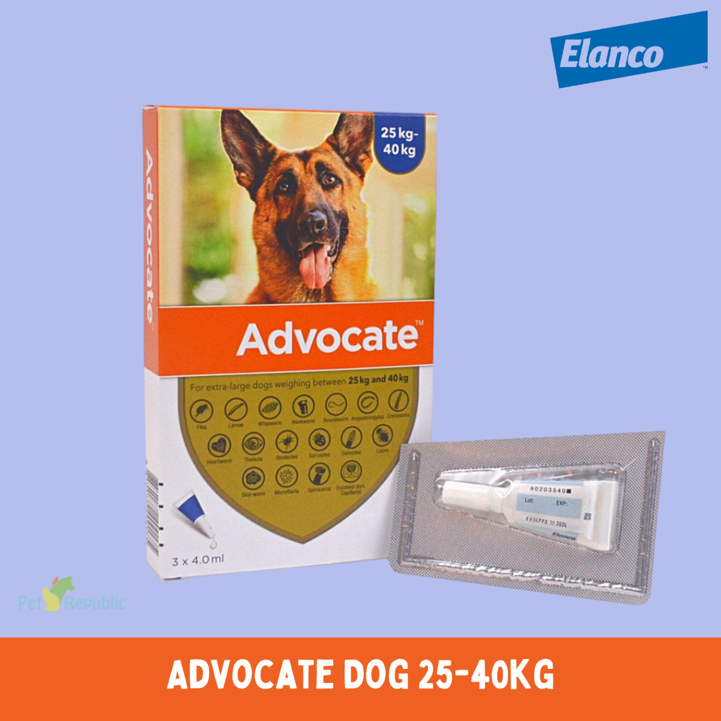 Jual ELANCO Obat Kutu Parasit Anjing ADVOCATE XL Dog 25-40kg | Shopee ...
