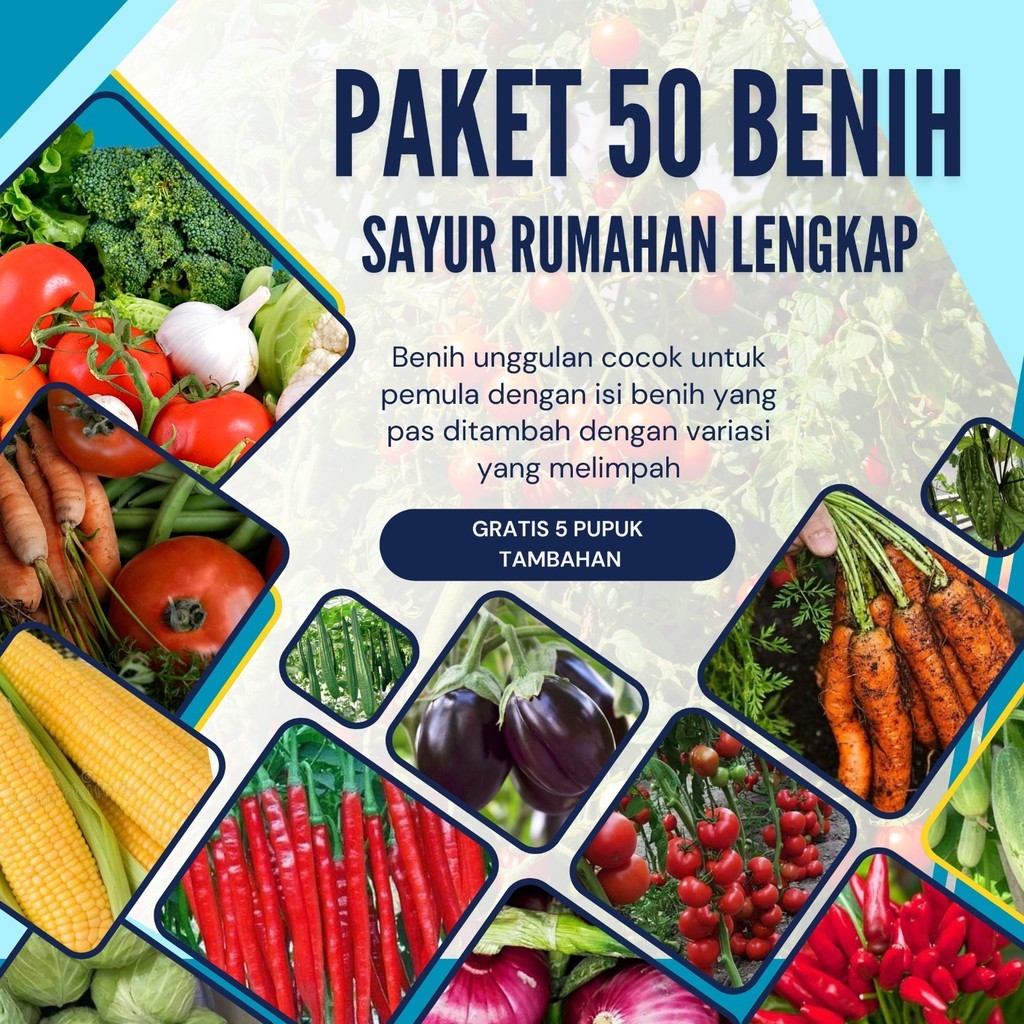 Jual PAKET 50 Jenis Benih Sayuran Berkualitas Hemat Lengkap dan Mudah ...