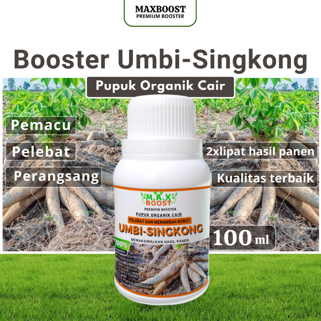 Jual Pupuk Booster Umbi Dan Singkong (100ml) I pupuk organik pelebat ...