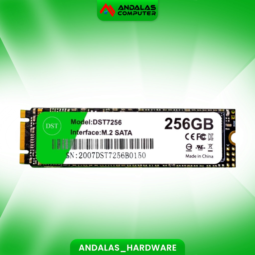 Jual DST SSD m.2 SATA 128GB/256GB: High-Speed Solid State Drive for ...