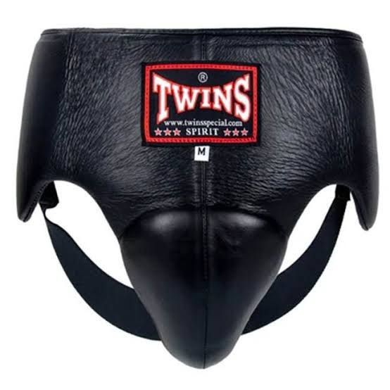 Jual Twins Special Groin Guard ABDOMINAL PROTECTOR APL-1 / Boxing groin ...