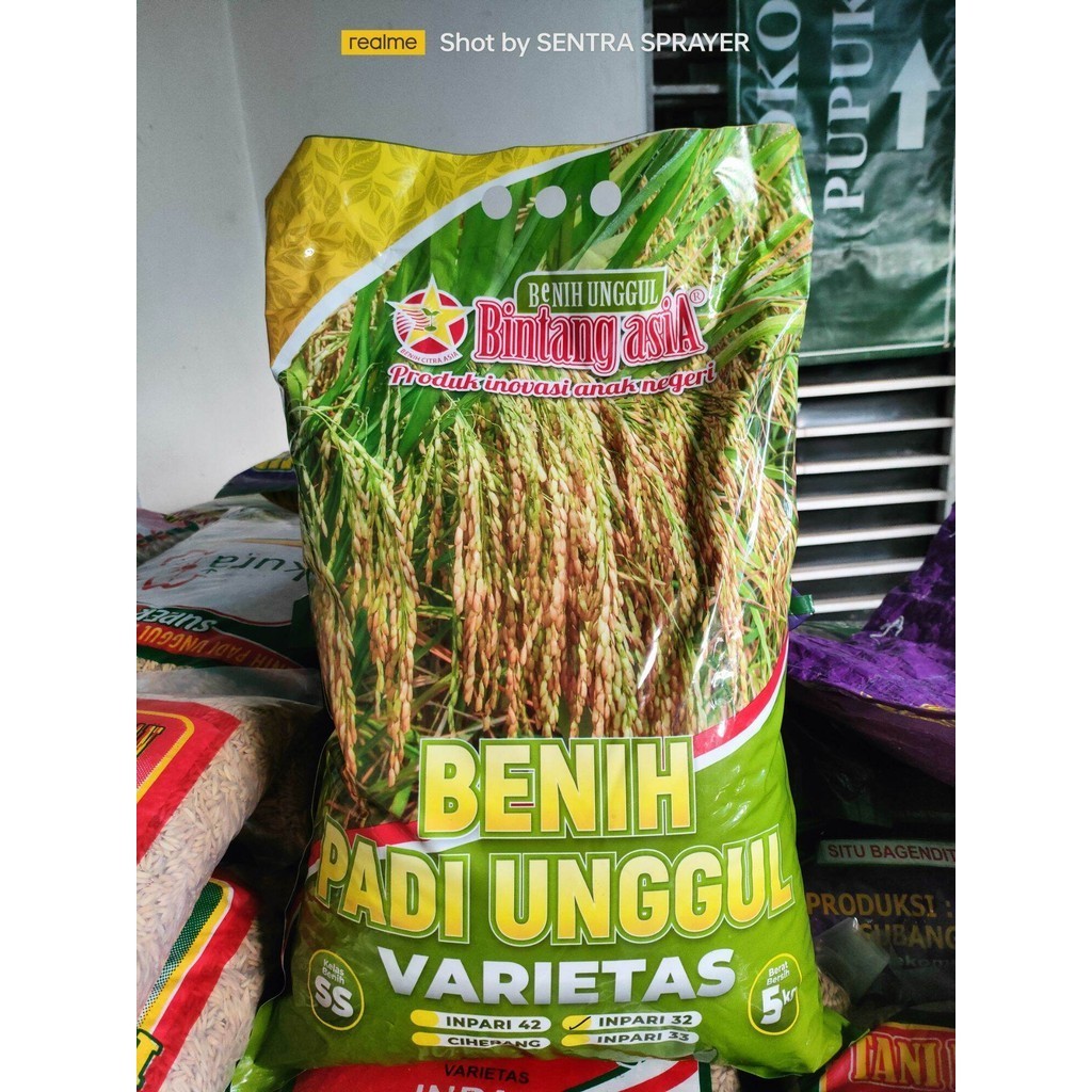 Jual Benih Padi Inpari 32 Bintang Asia | Shopee Indonesia