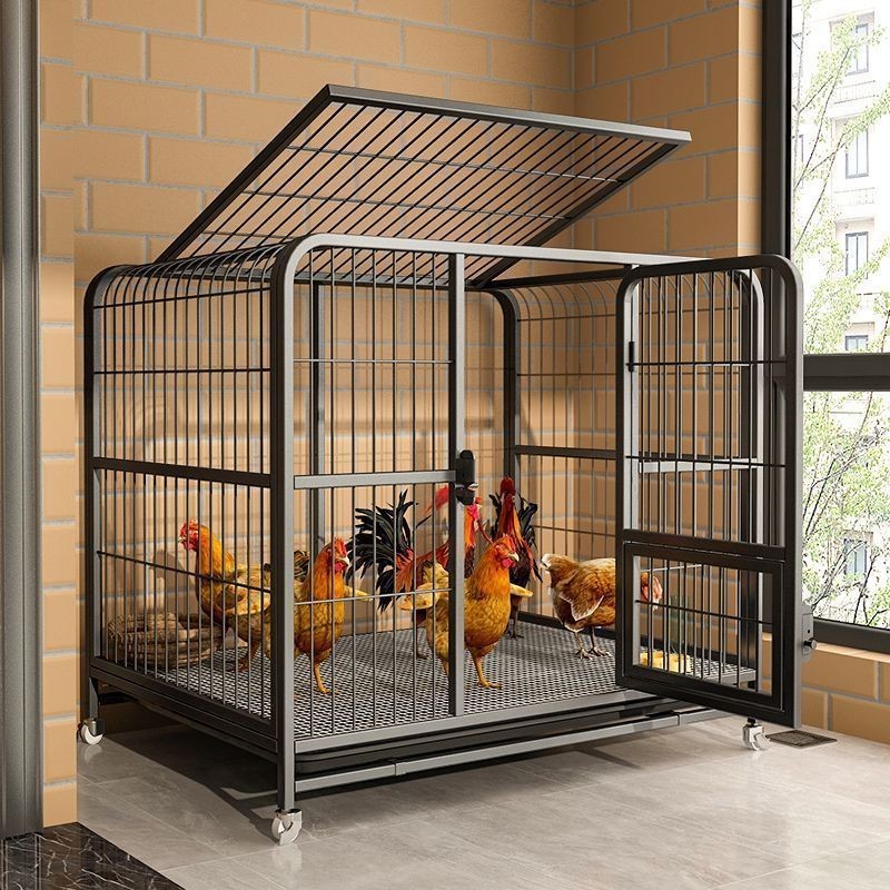 Jual Chicken cage Household large-sized breeding cage Chicken coop ...