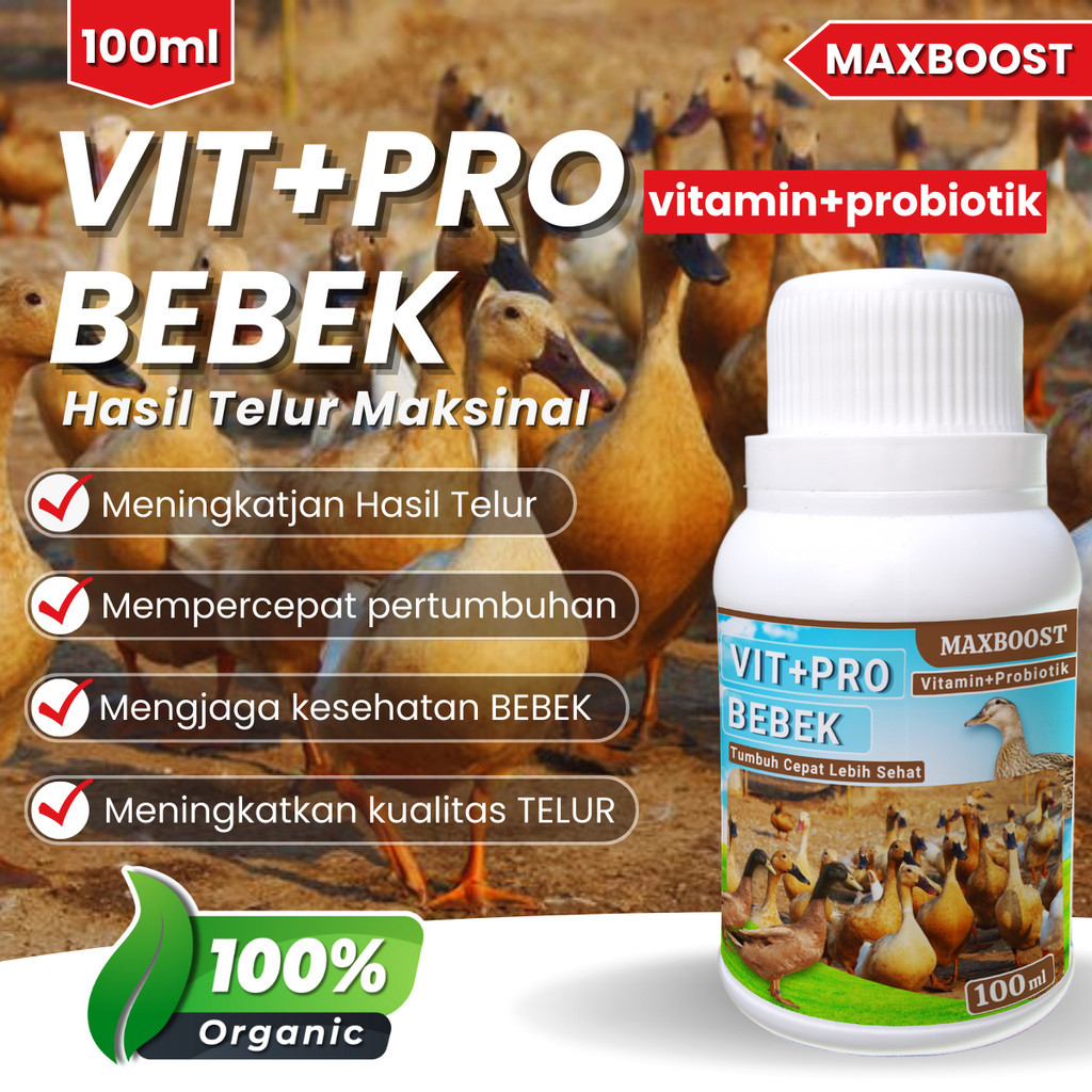 Jual VIT+PRO Vitamin Ternak Bebek Petelur Agar Telur Bertambah Banyak ...