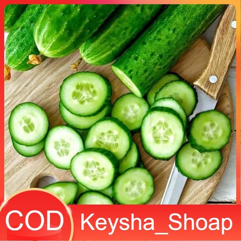 Jual Replika irisan buah timun / Replika sayuran timun / Vegetarian ...