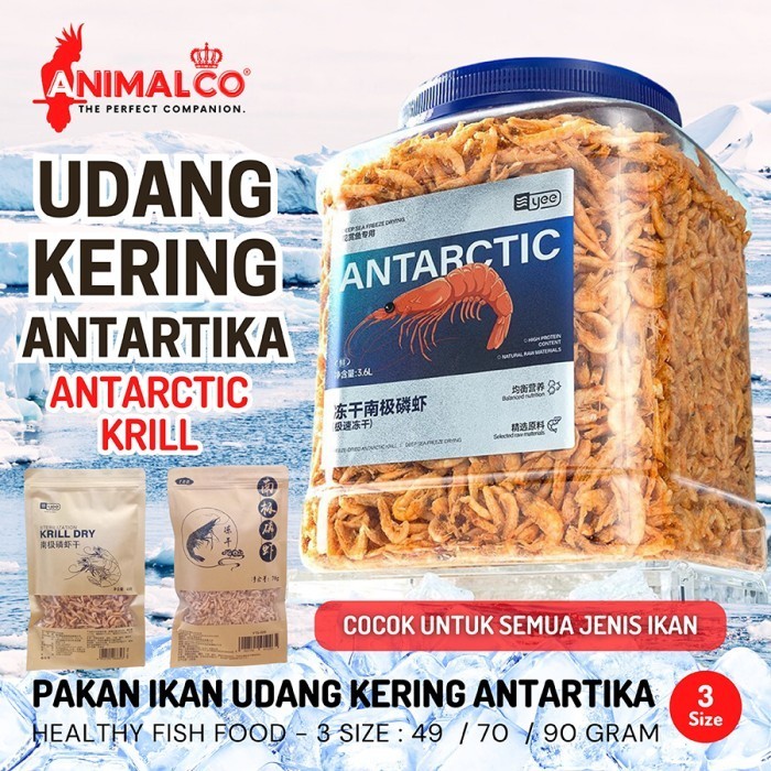 Jual Pakan Udang Kering Antartika Premium / Pakan Ikan / Pakan Kura ...