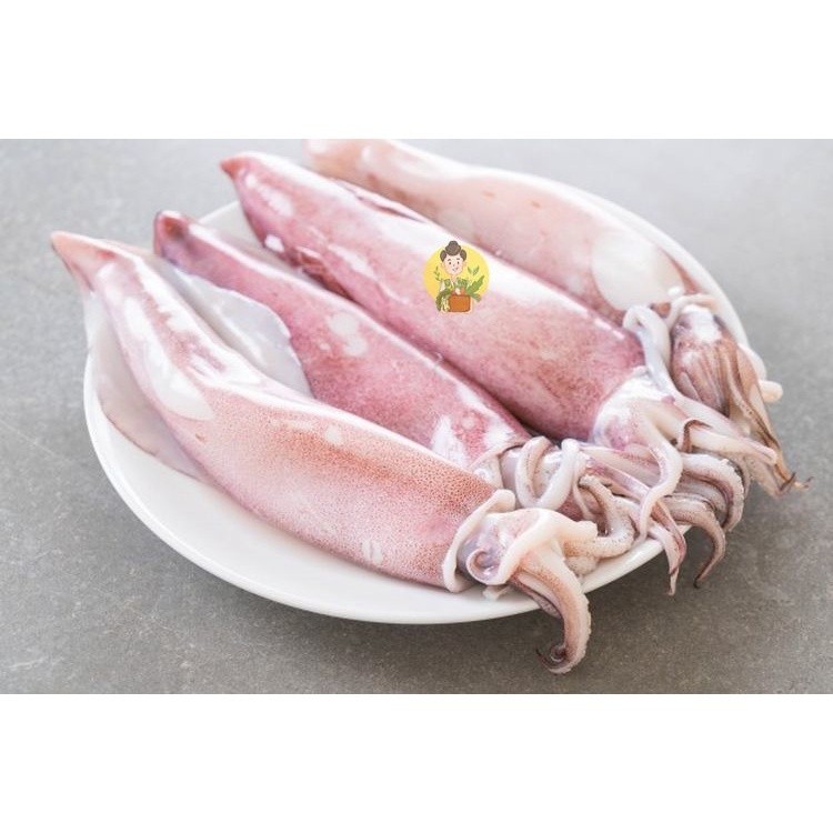 Jual Cumi - Cumi Fresh Frozen - Sayur Segar Instan Malang | Shopee ...