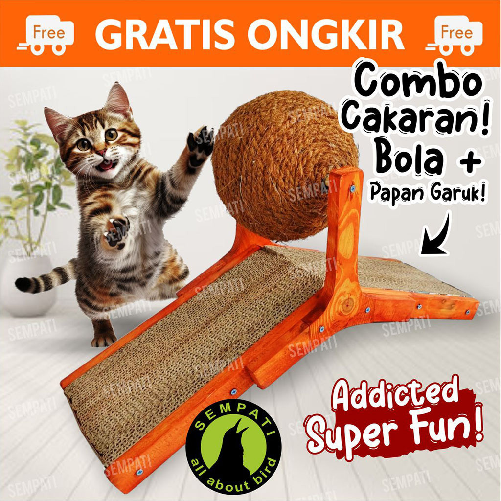 Jual SEMPATI Garukan Kucing Model Bola Plus Kardus Papan Mainan Garukan ...