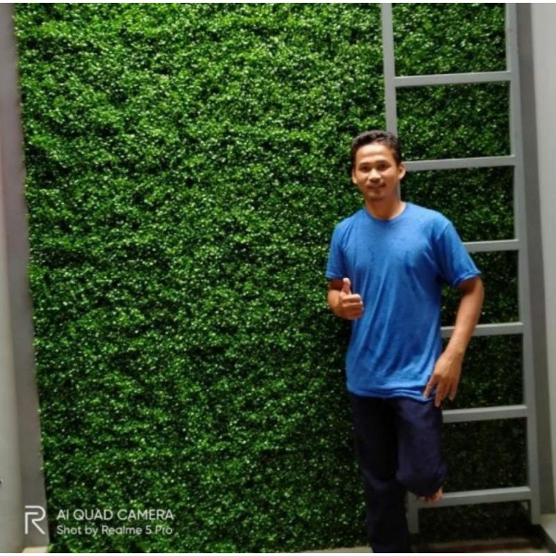 Jual DAUN RAMBAT DOLAR, DAUN SINTETIS 40X60 CM, DAUN PLASTIK, TANAMAN ...