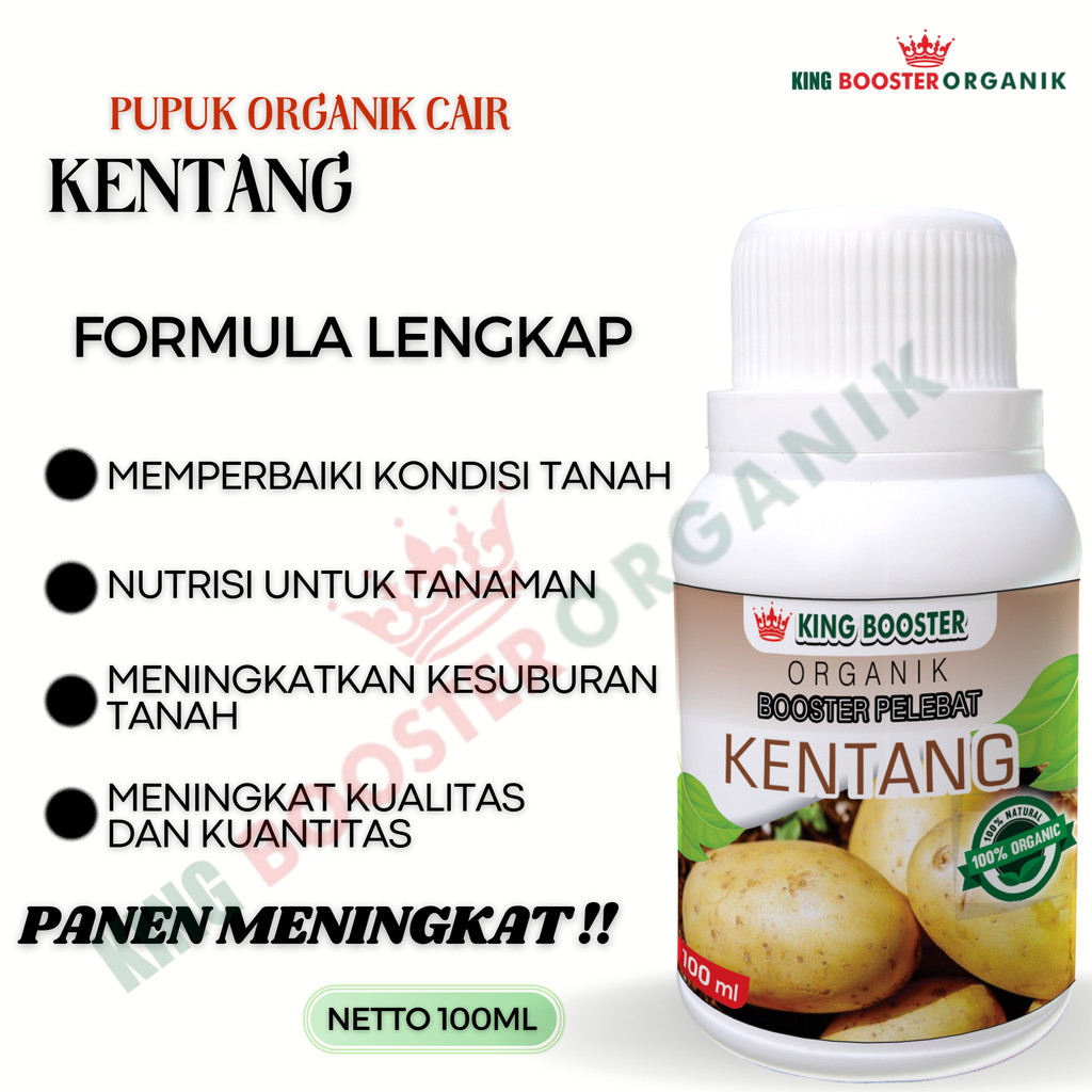 Jual Pupuk organik cair booster Kentang pupuk pelebat penyubur tanaman ...
