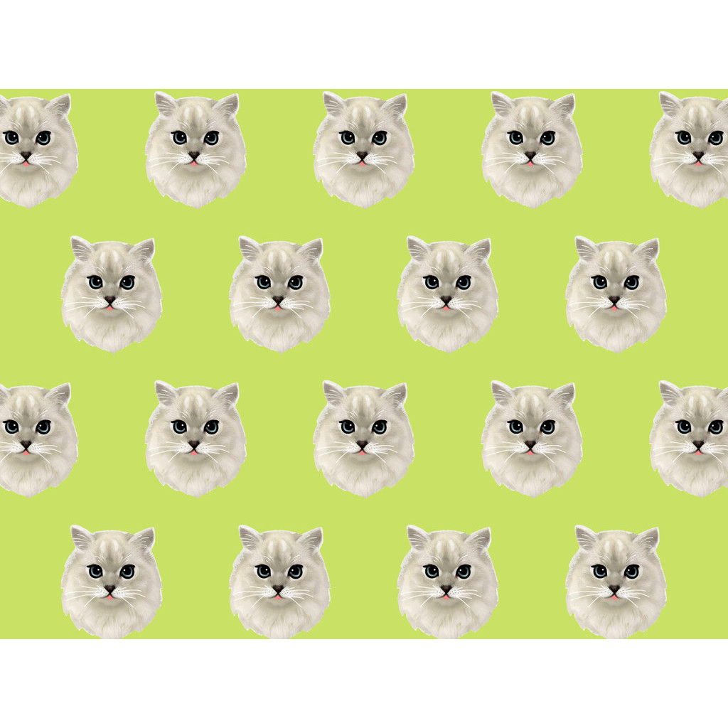 Jual PAWPINESS.ID White Cat Pet Blanket | Shopee Indonesia