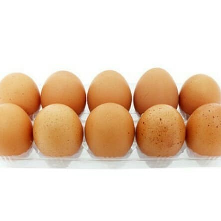 Jual Telur Ayam Negeri isi 10 butir (Gojek) | Shopee Indonesia