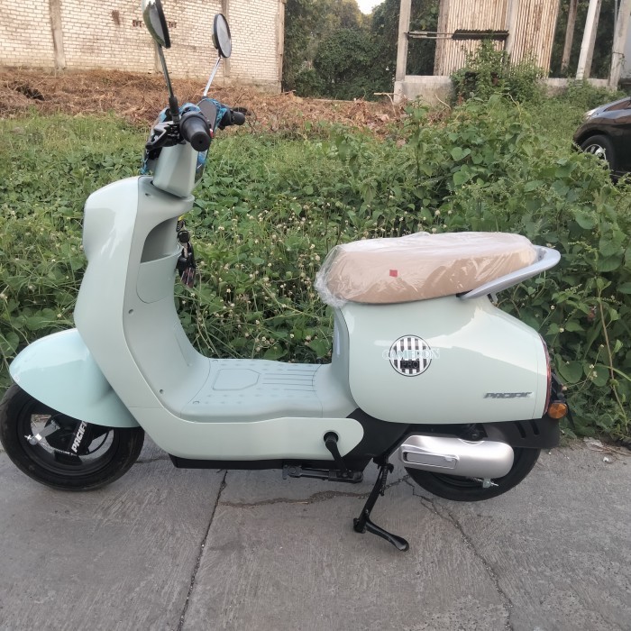 Jual Sepeda Listrik Pacific CAMERON PRO Mesin HUB Motor Bafang 650W ...