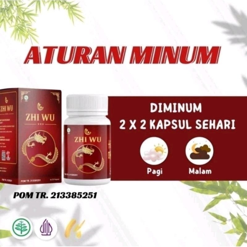 Jual Zhi Wu Obat Herbal Asam Urat Rematik - Hilangkan Nyeri sendi ...