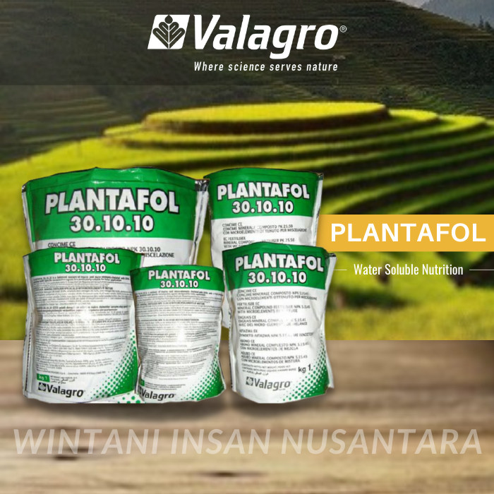 Jual Pupuk NPK - Pupuk Padat Valagro PLANTAFOL 30.10.10 isi 1 Kg #Valagro | Shopee Indonesia