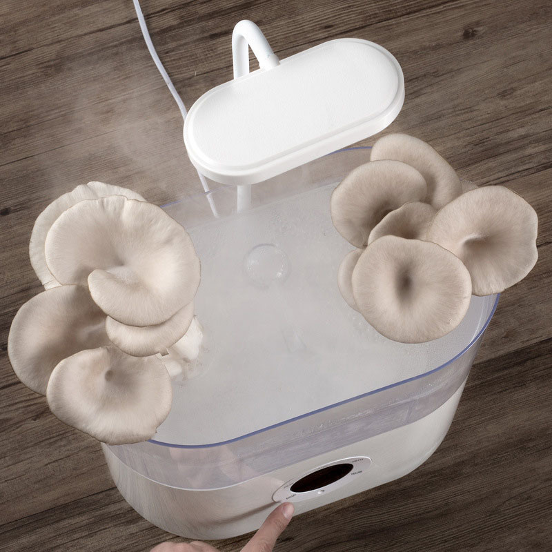 Jual Intelligent Mushroom Growing Machine, Home Cultivation Apparatus ...