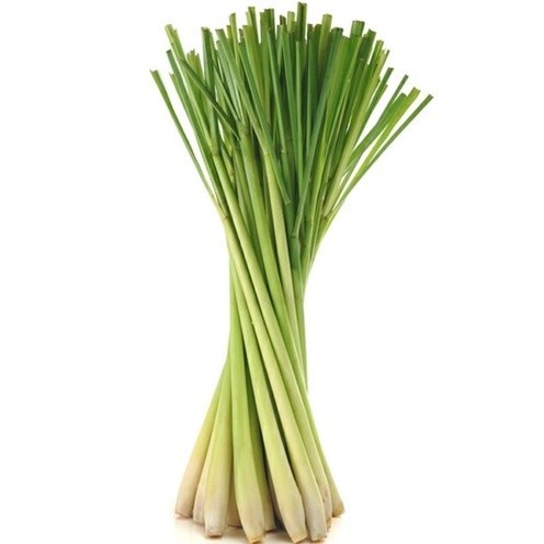 Jual Sereh / Serai Fresh 100 gram - Sayur Segar Instan Malang | Shopee ...