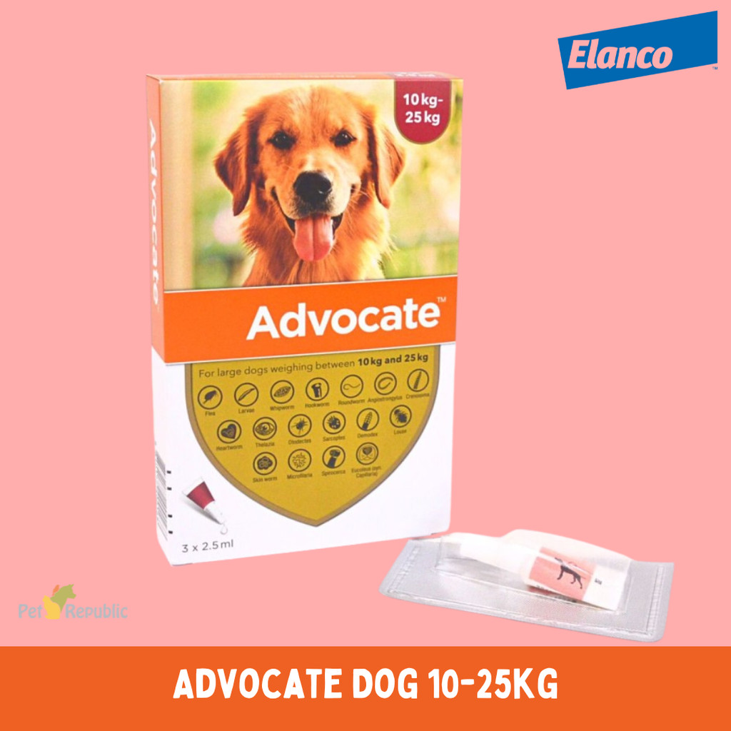 Jual ADVOCATE Obat Kutu Parasit Anjing Large Dog 10-25kg | Shopee Indonesia