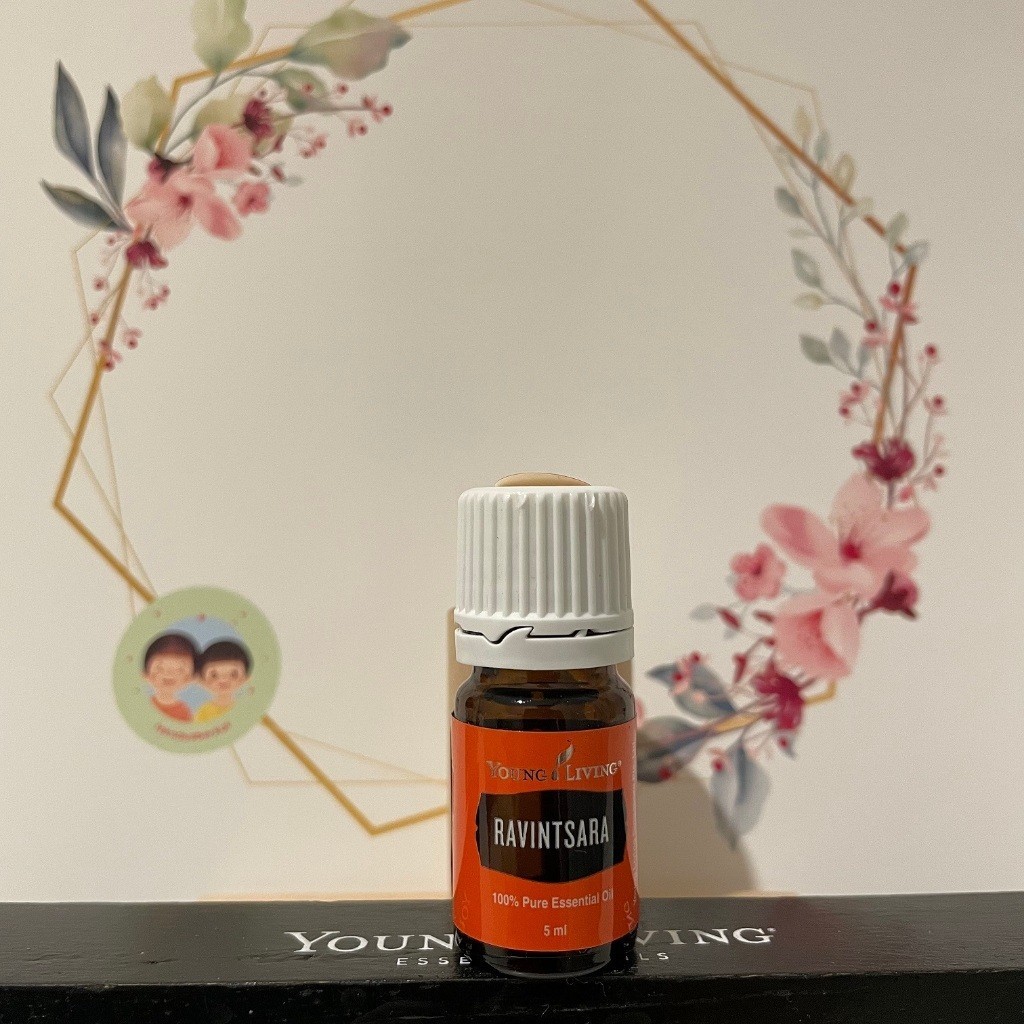 Jual Young Living Ravintsara Essential Oil 5ml | Shopee Indonesia
