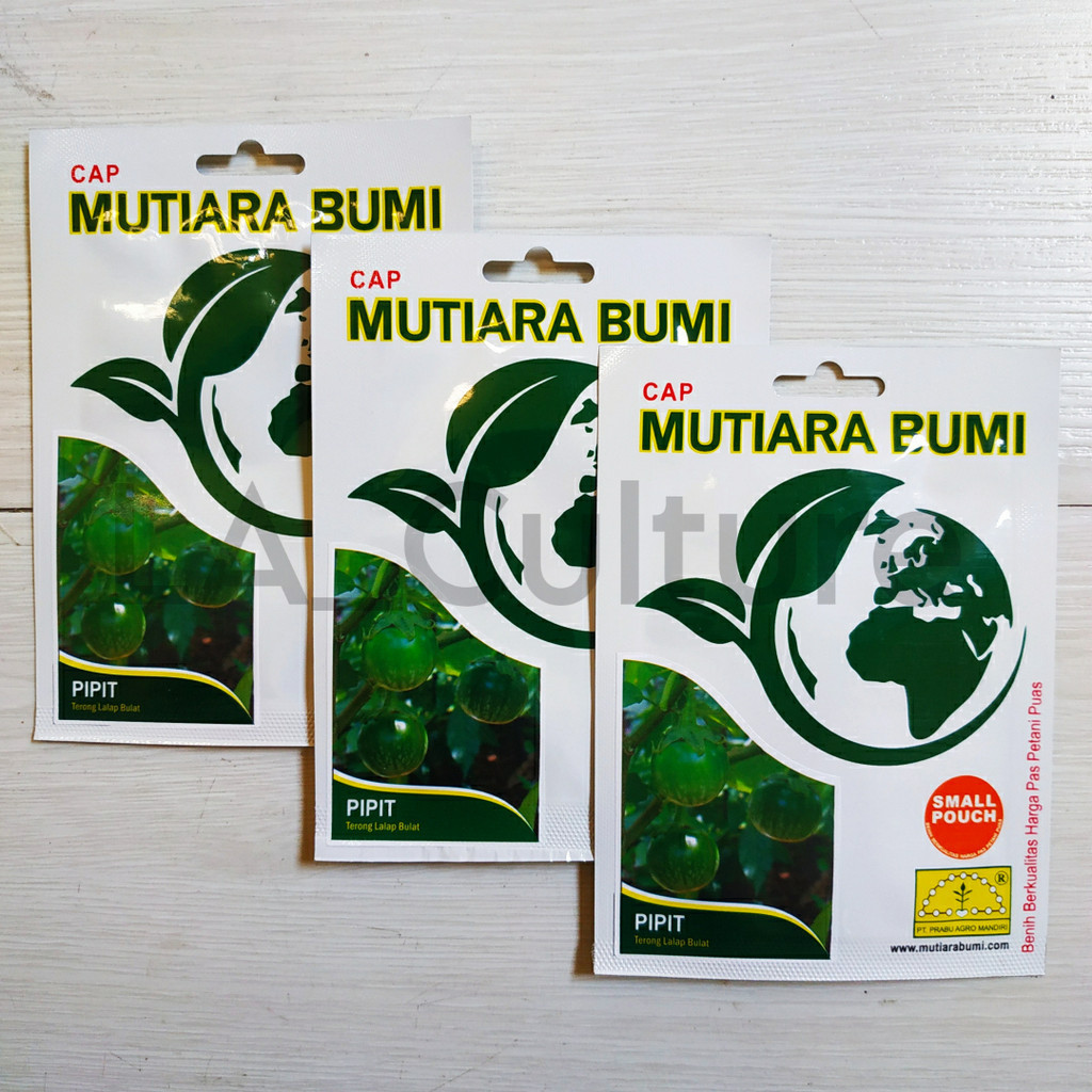 Jual Benih Terong Lalap Bulat PIPIT Isi 650 Butir Cap Mutiara Bumi ...