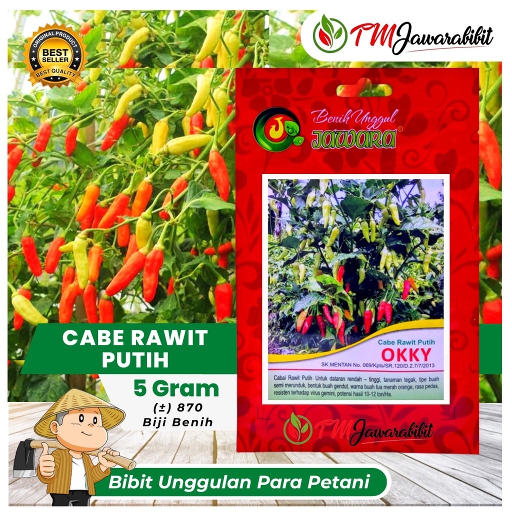Jual BENIH CABE RAWIT OKKY JAWARA ISI 5 GRAM ( +/- 870 BENIH ) | Shopee ...
