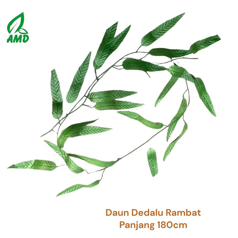 Jual Daun Dedalu Rambat panjang 180cm dan 220cm premium murah | Shopee ...