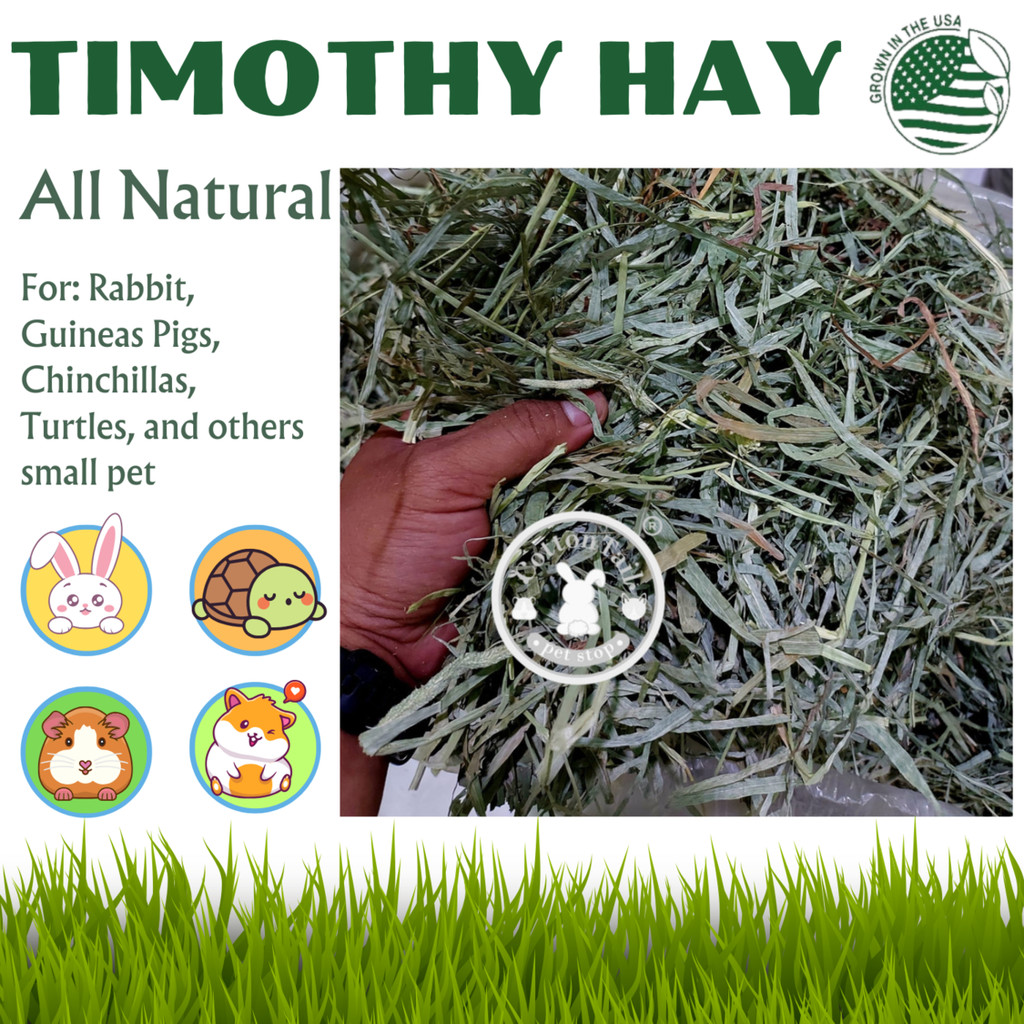 Jual ALL NATURAL - Timothy Hay 1 kg / Rumput Hay Timothy Makanan ...