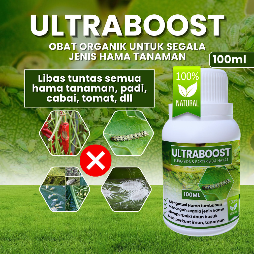 Jual OBAT HAMA ULAT PADI SUNDEP BELUK isi 100 ML ULTRABOOST - Obat Hama ...