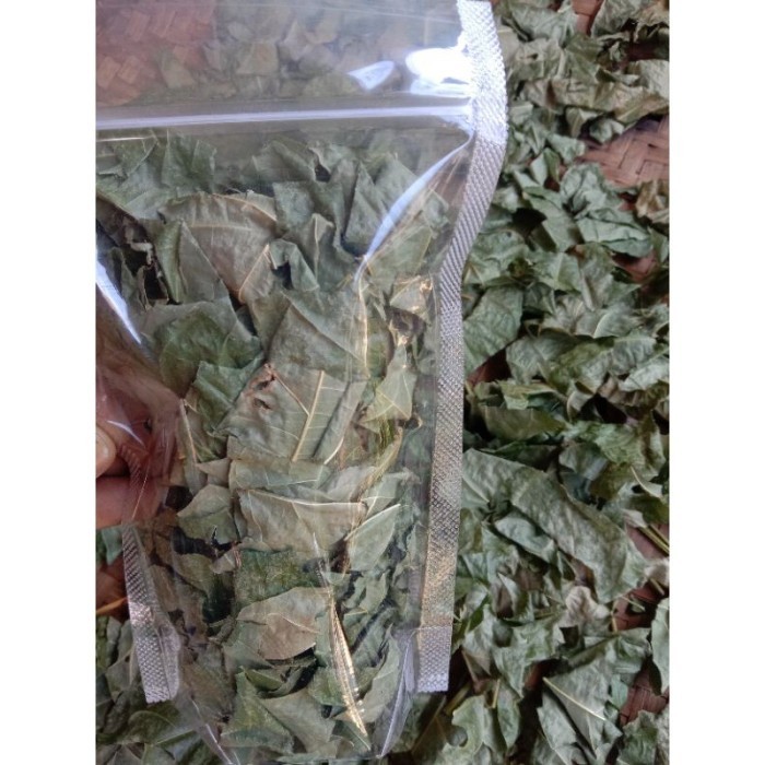 Jual DAUN DADAP KERING/CANGKRING/DAUN SEREP | Shopee Indonesia
