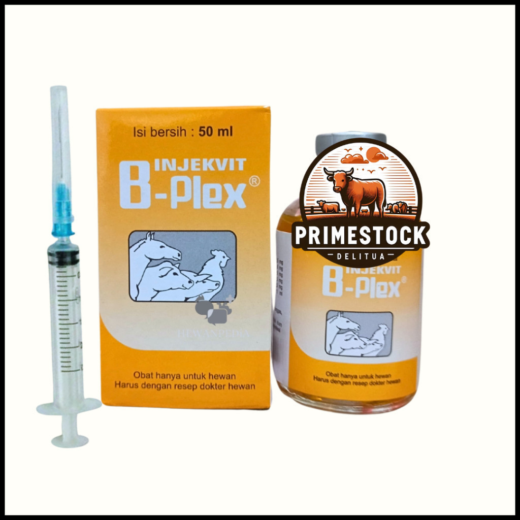 Jual Injekvit B Plex 50ml - Suplemen Vitamin untuk Meningkatkan ...