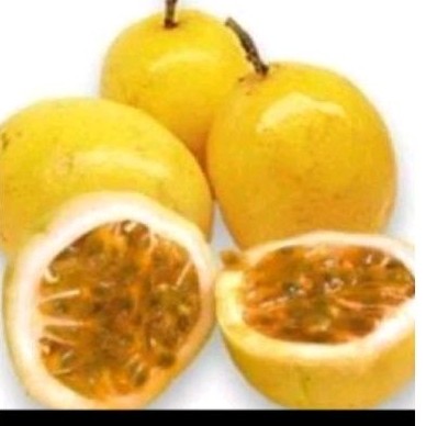 Jual buah markisa sgaar stngah kg markisa kuning | Shopee Indonesia