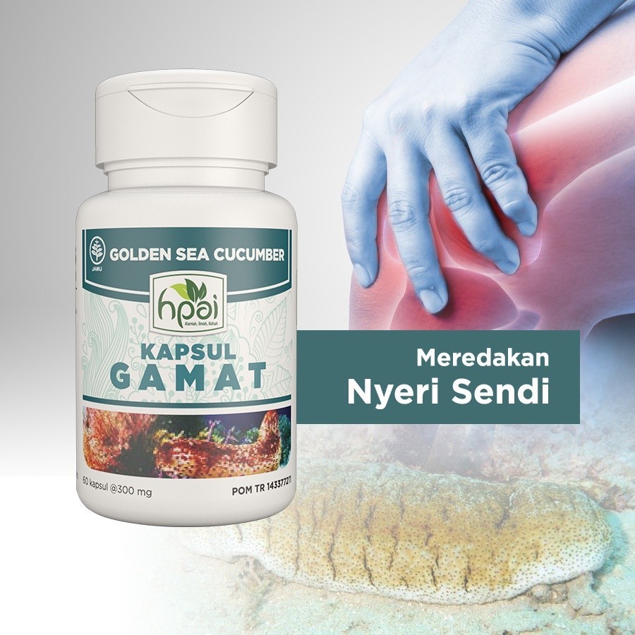 Jual GAMAT KAPSUL Ekstrak Teripang Emas Untuk Nyeri Sendi | HNI ...