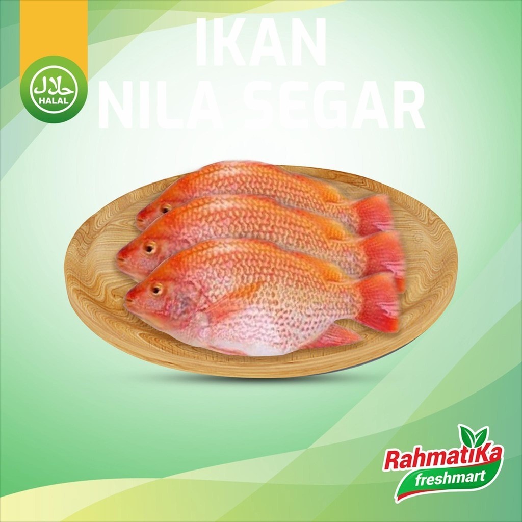Jual Ikan Nila Fresh / Ikan Nila Segar 1 Kg | Shopee Indonesia