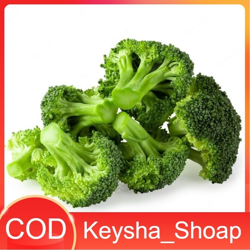 Jual Replika sayuran brokoli ( 1set 5pcs ) / Vegetarian Replika / dummy ...