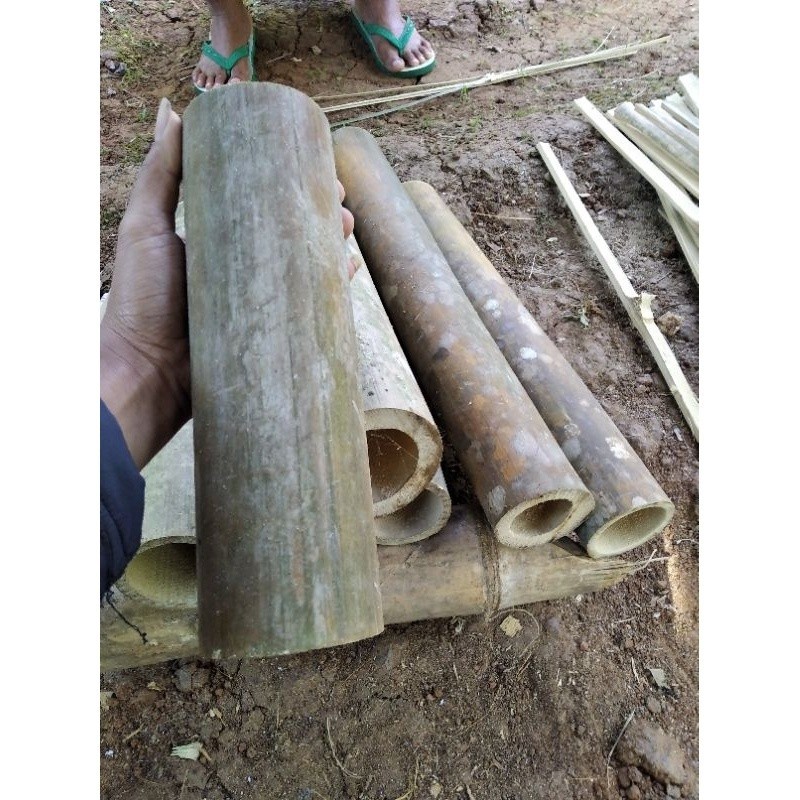Jual Promo POTONGAN BAMBU UTUH BAMBU BULAT PANJNG 25 CM | Shopee Indonesia
