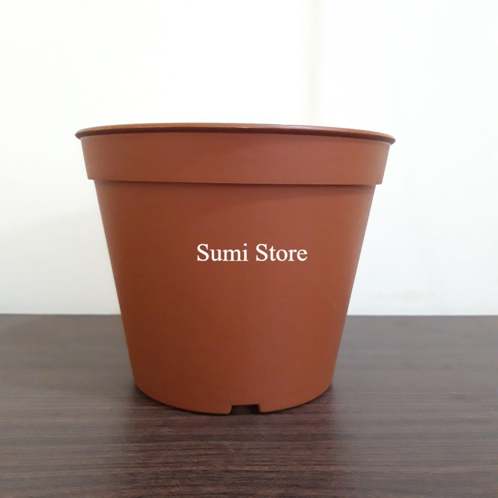 Jual Pot Bunga diansari 20 cm/ Pot Bunga bukan tawon 20 | Shopee Indonesia